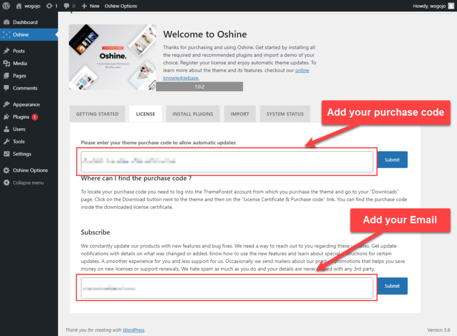 How to set up Oshine Theme and Import a Demo? – Oshine Knowledge Base