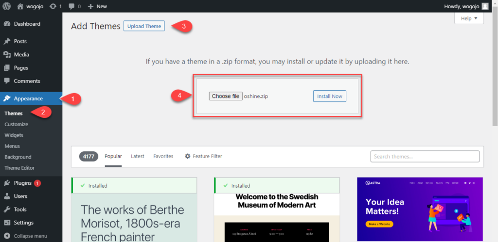 How to set up Oshine Theme and Import a Demo? – Oshine Knowledge Base