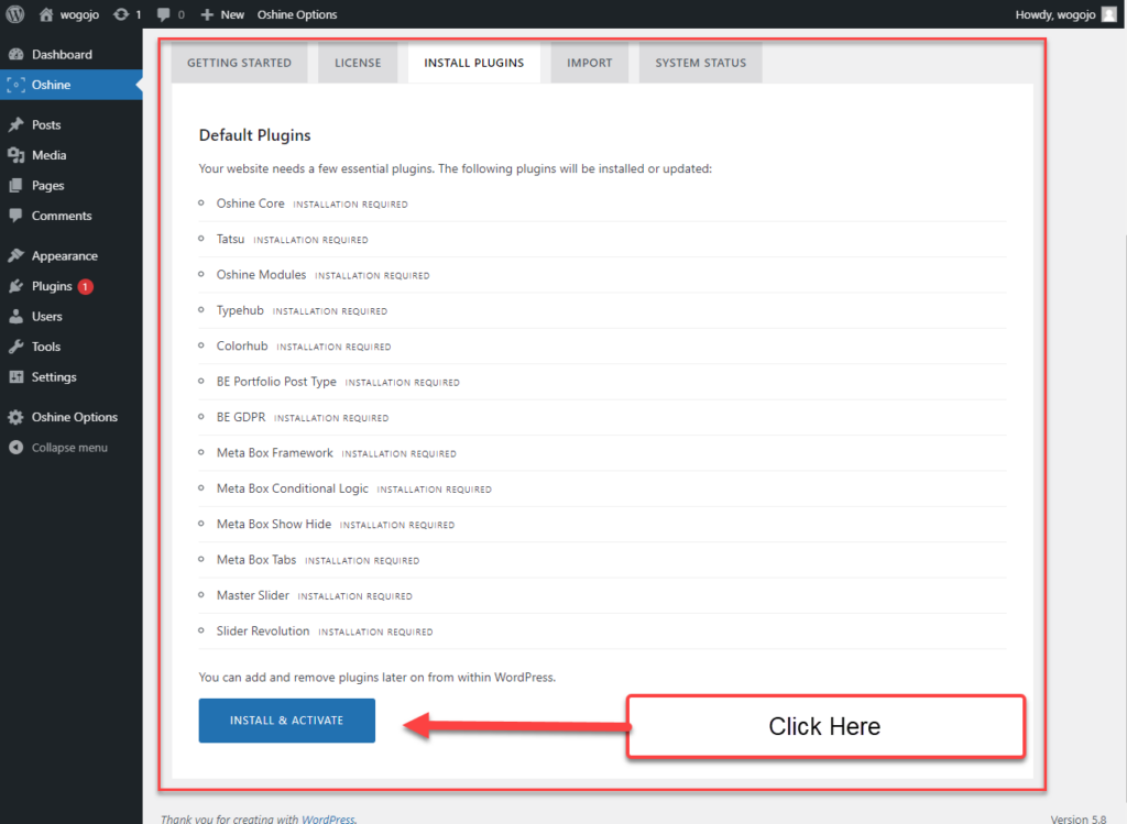 How to set up Oshine Theme and Import a Demo? – Oshine Knowledge Base